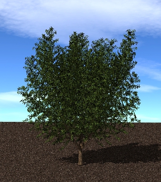 Helios: Weber-Penn Tree Plugin Documentation