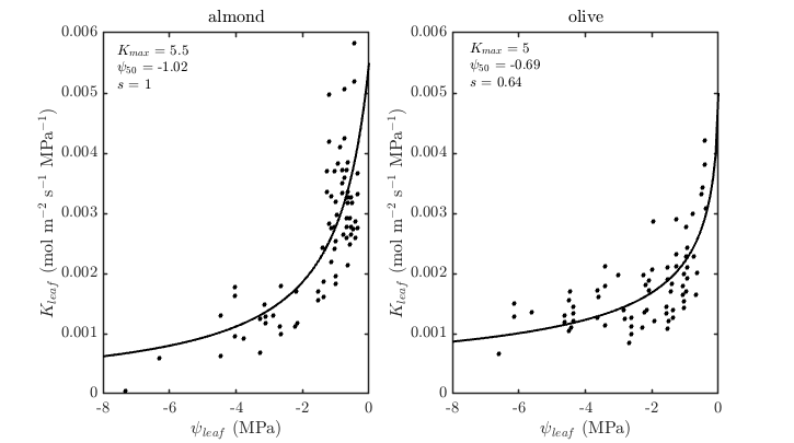 Helios: Plant Hydraulics Model Plugin Documentation