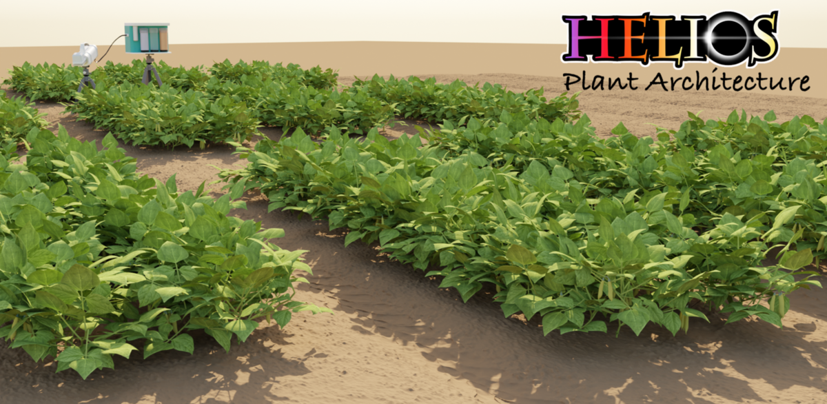 Helios: Plant Architecture Model Plugin Documentation