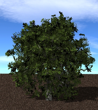 Helios: Weber-Penn Tree Plugin Documentation