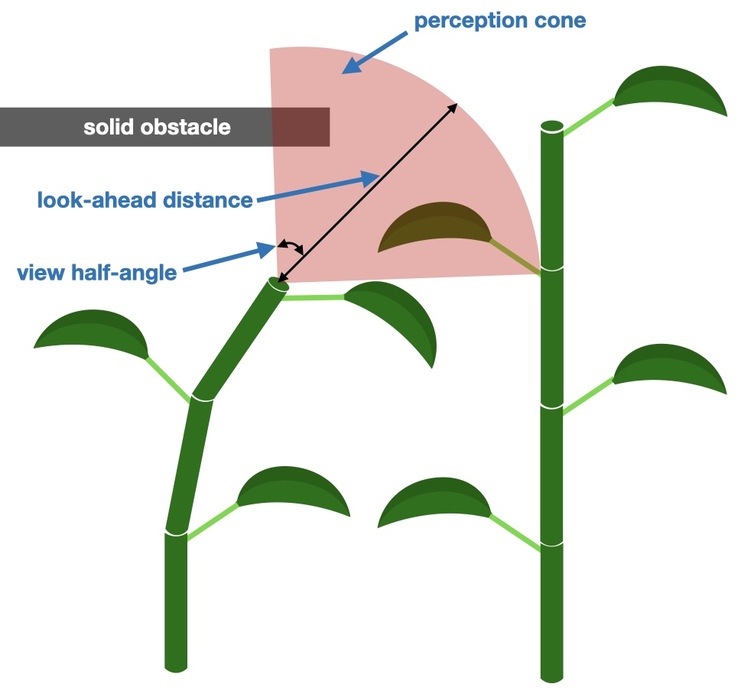 Helios: Plant Architecture Model Plugin Documentation