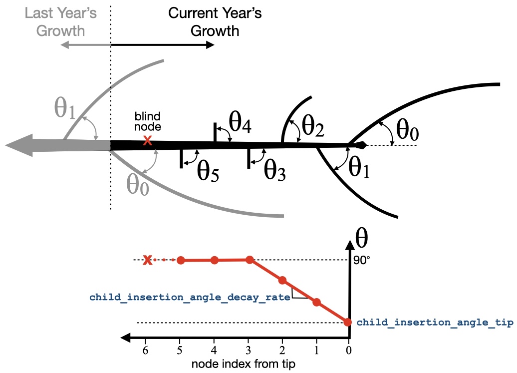 Helios: Plant Architecture Model Plugin Documentation